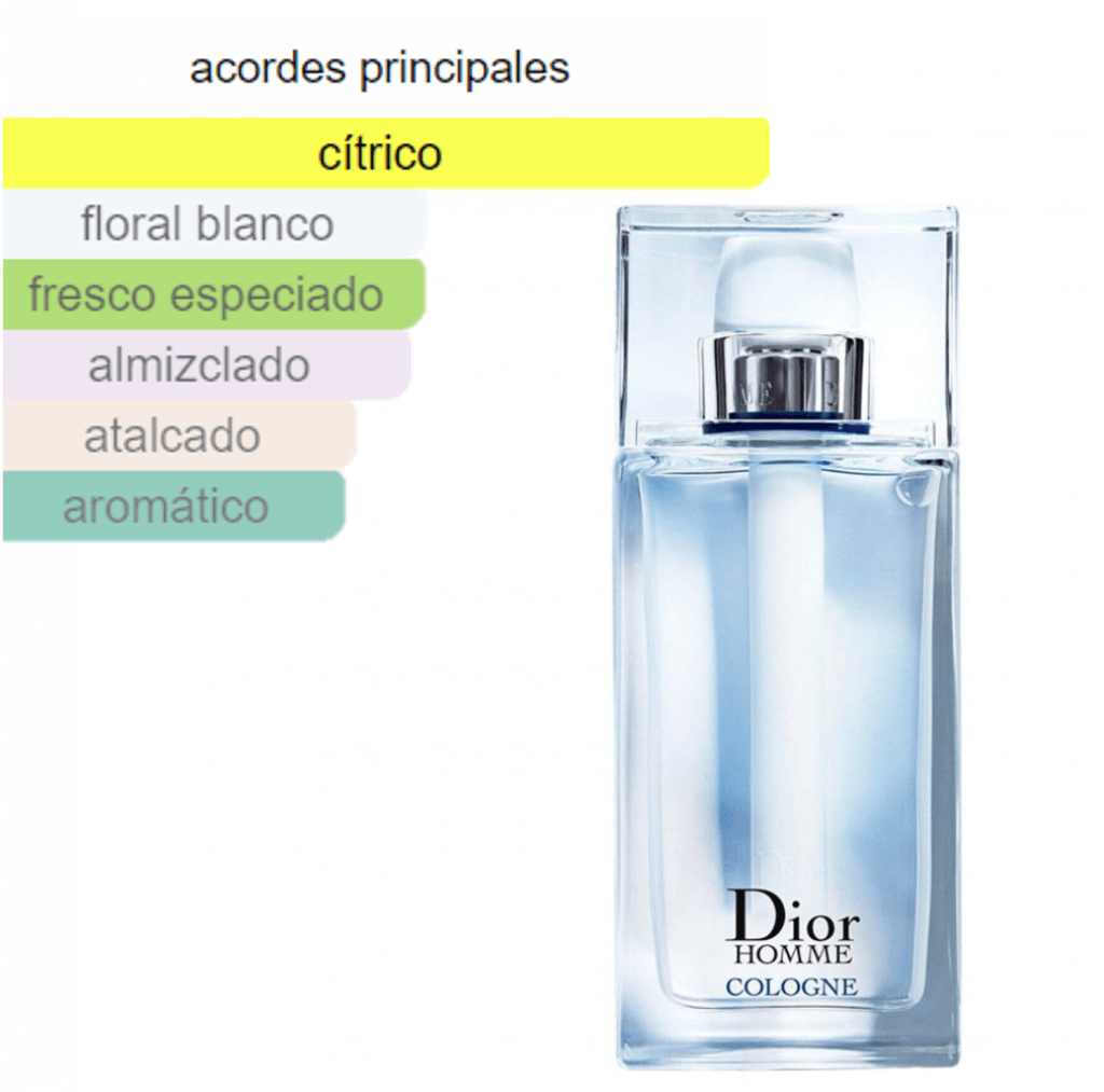 Testers – Perfumes Cardales