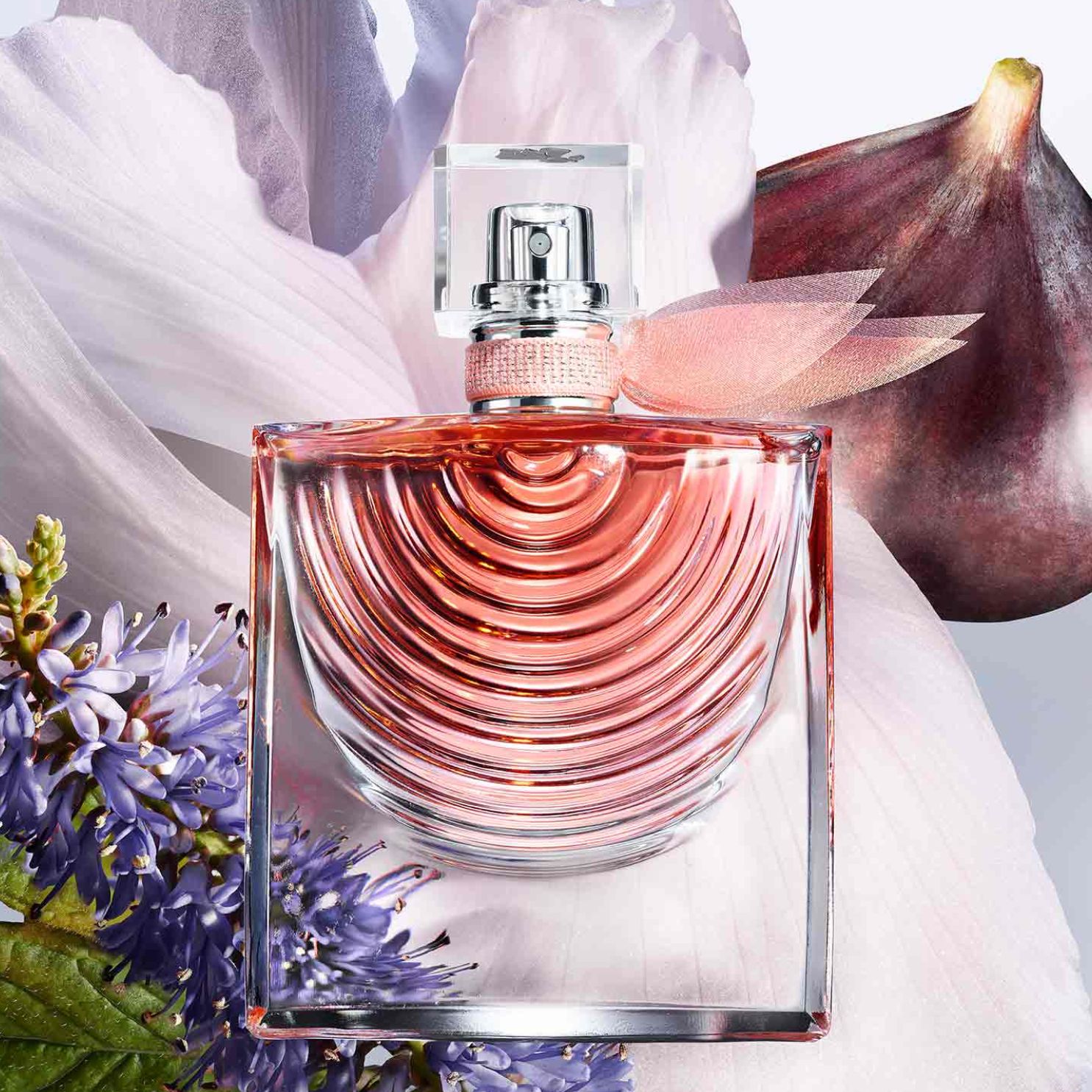 La vie est Belle Iris Absolu | EDP | 50 ml | Tester – Perfumes Cardales