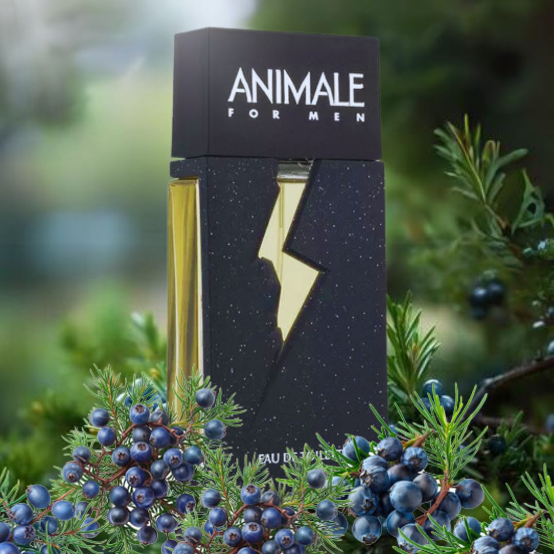Animale For men | EDT | 200 ml – Perfumes Cardales