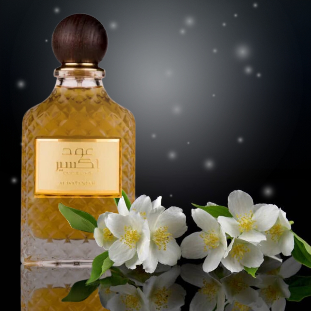 Oud elixir | EDP | 100 ml – Perfumes Cardales