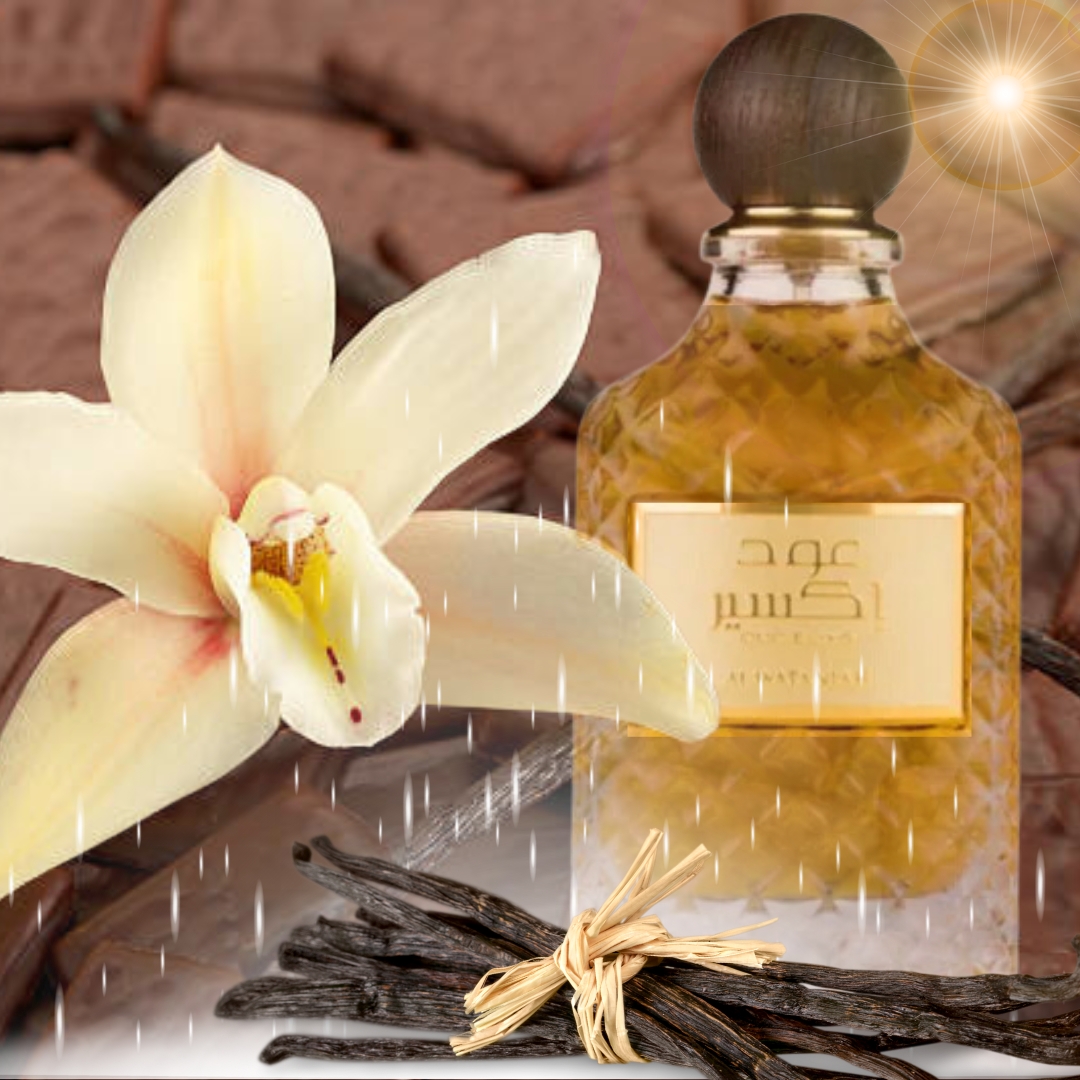 Oud elixir | EDP | 100 ml – Perfumes Cardales
